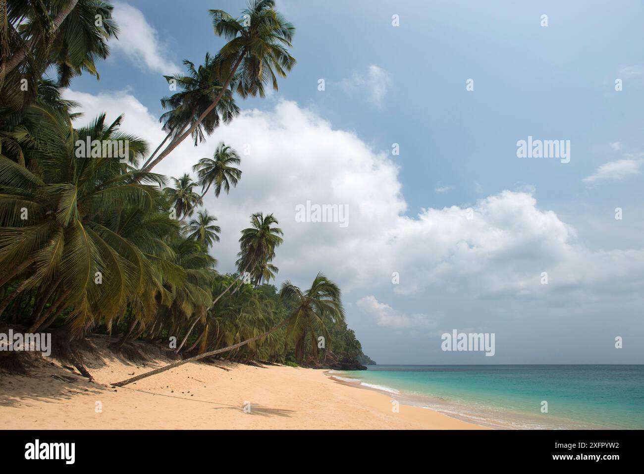 Beach at the north of Principe Island, Democratic Republic of Sao Tome ...