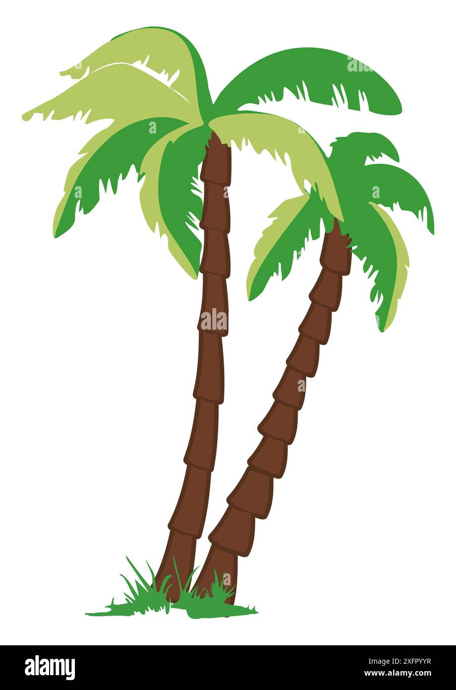 Tropical trees drawn in cartoon style Stock Photo - Alamy