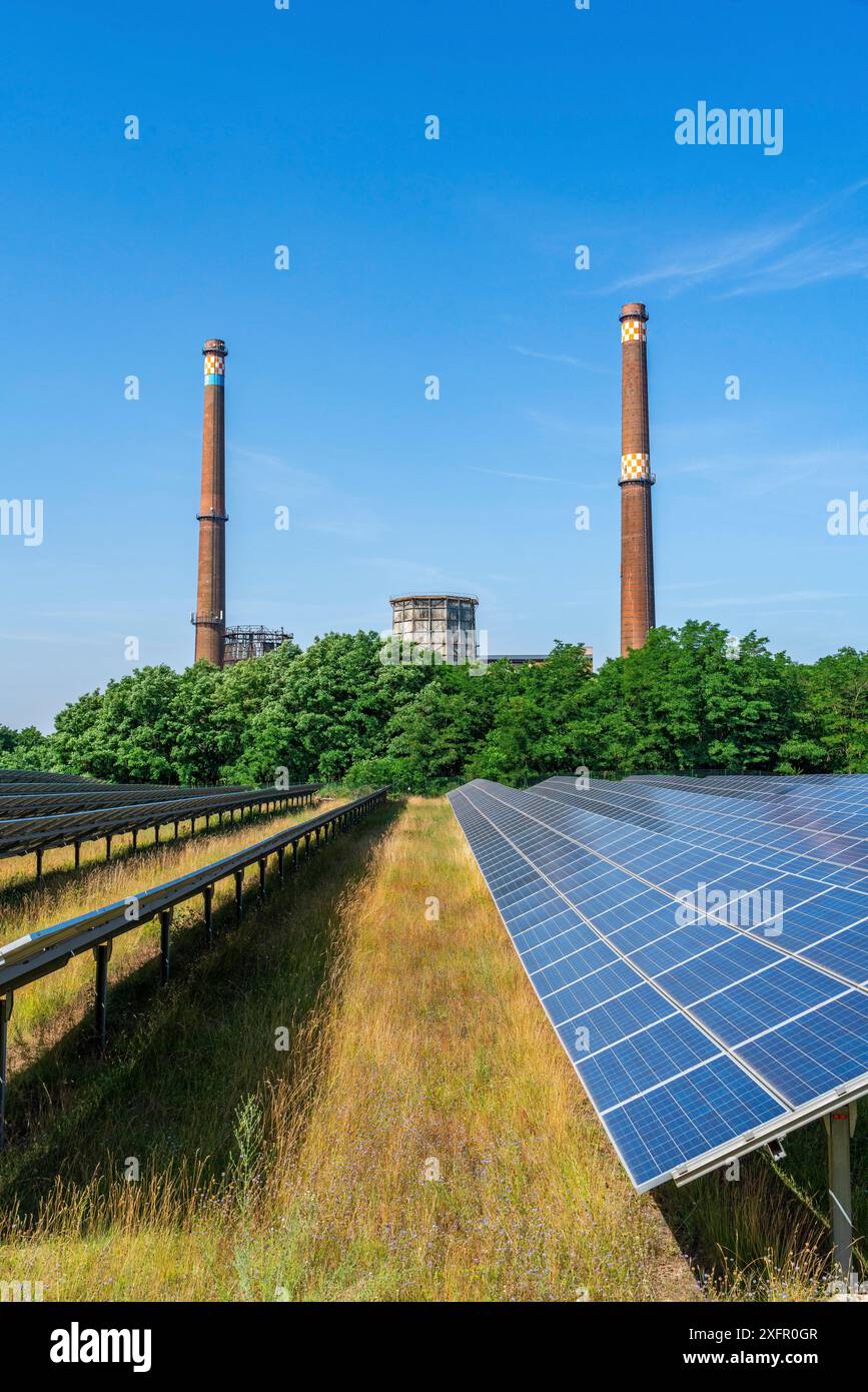 Solar modules of a solar park in front of the decommissioned Plessa ...