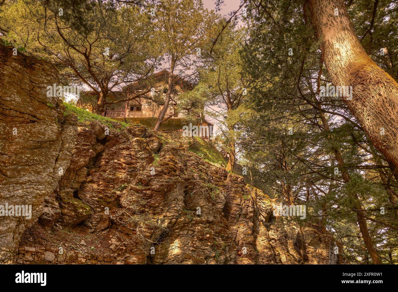A house on a rocky outcrop, surrounded by dense trees in a forest, Big ...