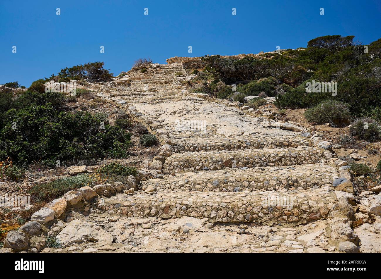 Stone steps lead up a hill path through nature, with vegetation and ...