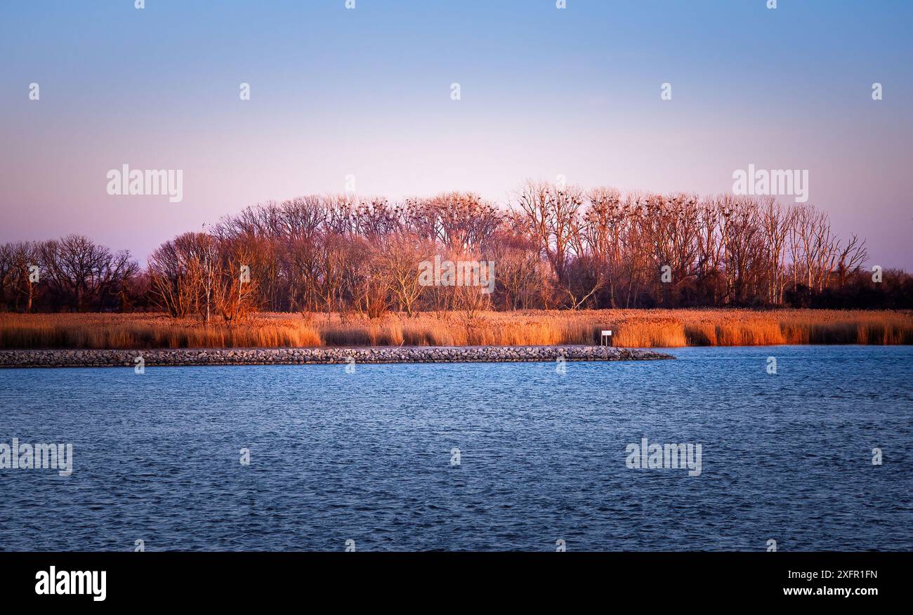 Black and white view of Detroit River Island foliage Stock Photo - Alamy