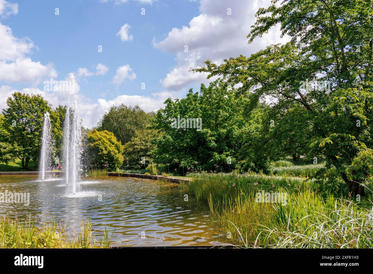 A clear pond with several water fountains, flanked by lush trees and a ...