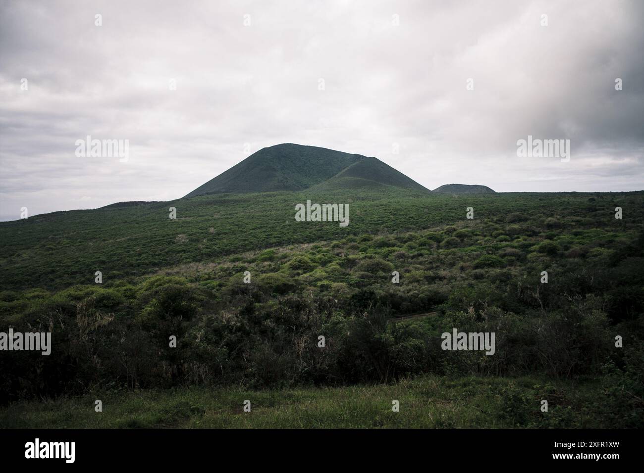 Lush green volcanic hills under a cloudy sky on the Galapagos Islands ...