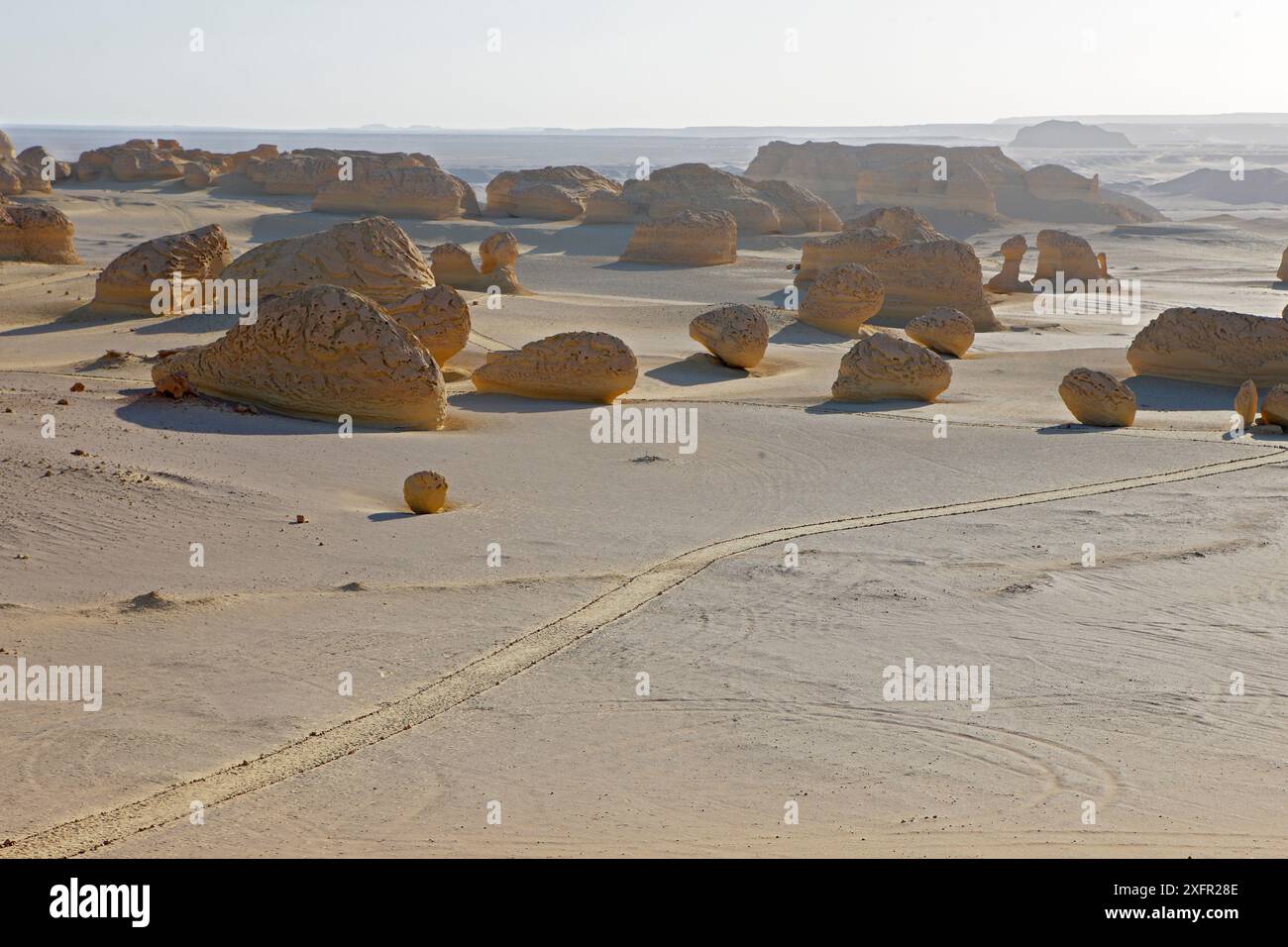 Wadi El Hitan (Whale Valley) National Park UNESCO World Heritage Site ...
