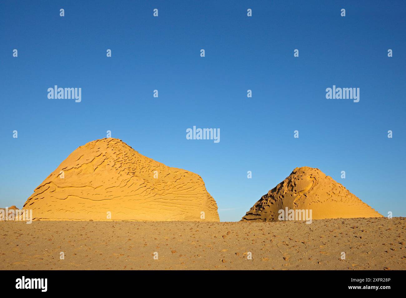 Wadi El Hitan (Whale Valley) Wadi Hitan National Park UNESCO World ...