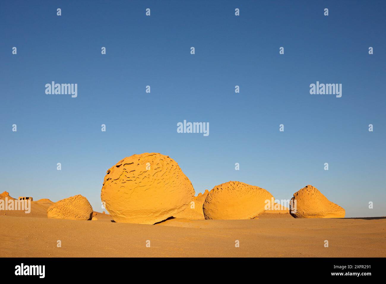 Wadi El Hitan (Whale Valley) Wadi Hitan National Park UNESCO World ...