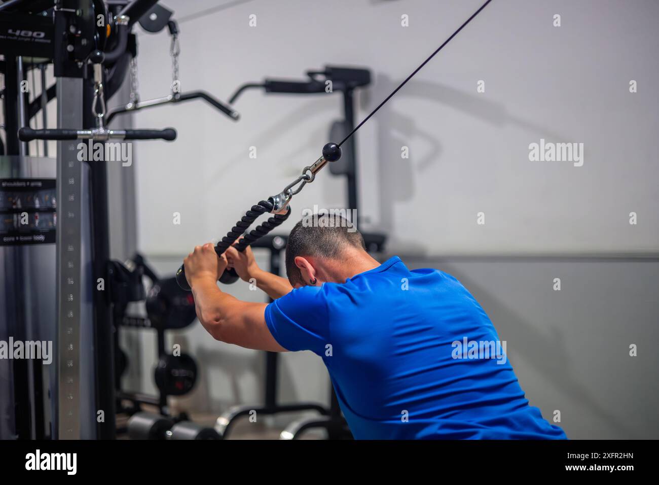 young fitness athlete, seen from behind, is performing a triceps ...