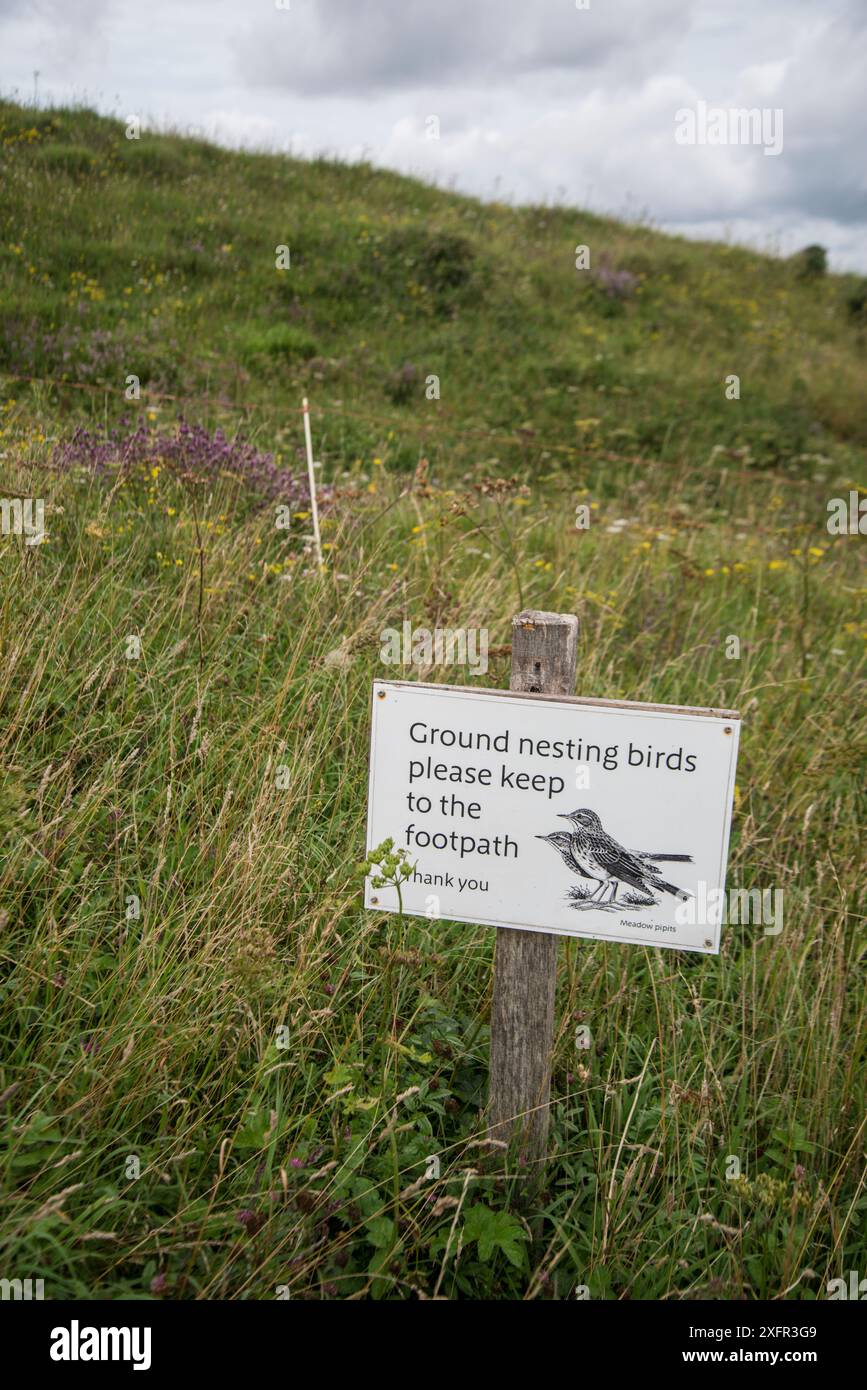 Sign warning of ground-nesting birds, Meadow pipits (Anthus pratensis ...