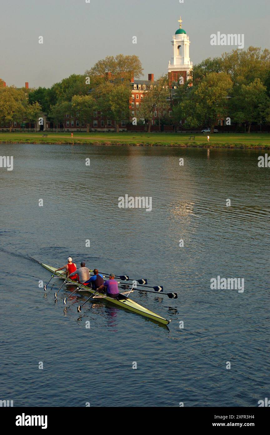 Harvard university crew team hi-res stock photography and images - Alamy
