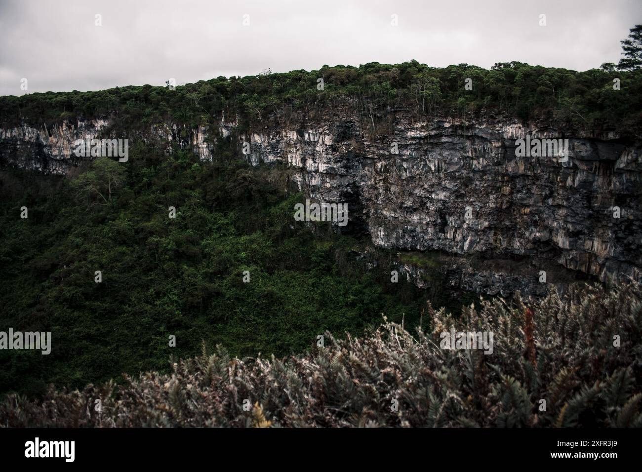 This image showcases the dramatic cliffs and dense vegetation of the ...