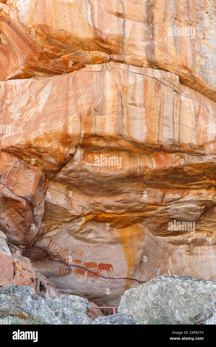 San rock-art paintings of elephants and people, Cederberg Wilderness ...