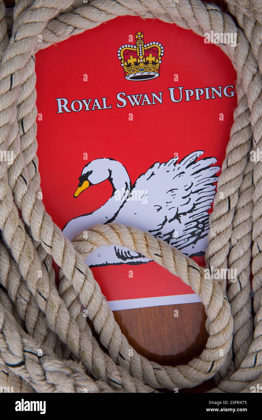 Water animals july uk hi-res stock photography and images - Alamy