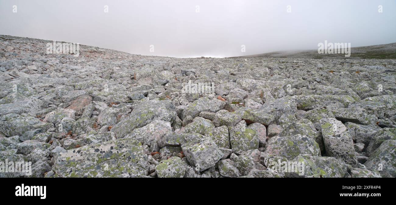 Boulder field hi-res stock photography and images - Alamy