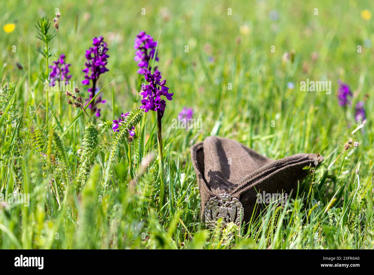 Sajkaca cap hi-res stock photography and images - Alamy