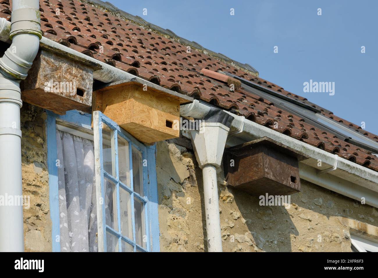 Swift nest boxes atached to the eaves of a cottage, Hilperton ...