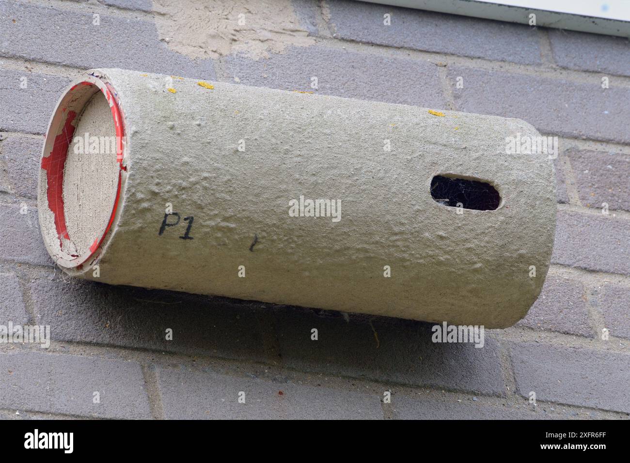 Nestbox for Common swifts (Apus apus) made from plastic piping ...