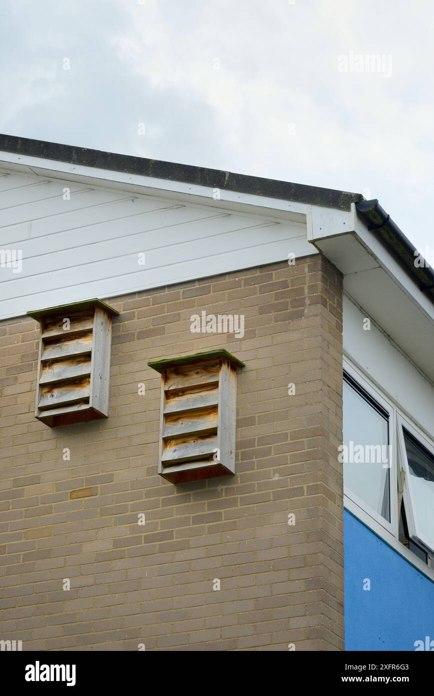 Two multiple nestboxes for Common swifts (Apus apus) attached to the ...