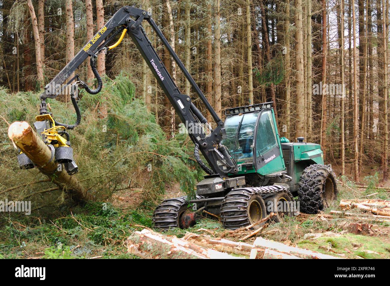 Timber harvesting machine felling and processing conifers, Inverness ...