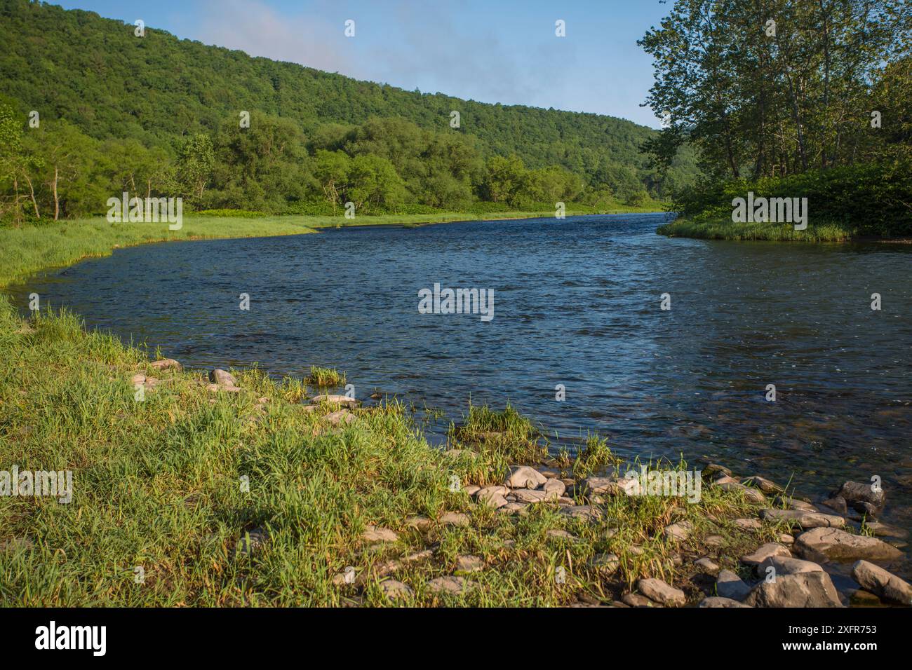 Blue ribbon trout stream, a branch of the Delaware River, New York, USA ...