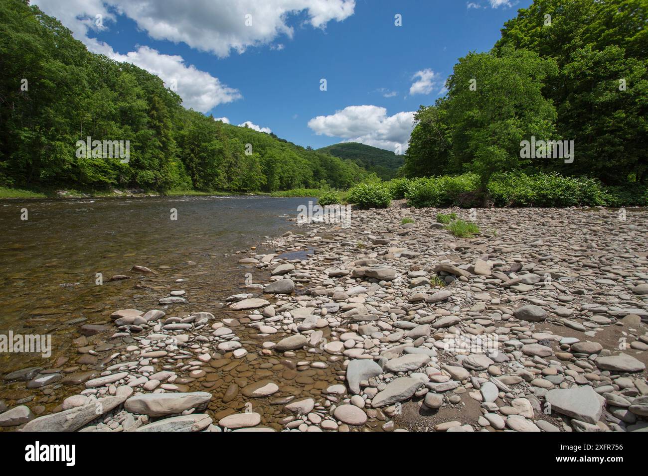 Beaverkill river, a blue ribbon trout stream, New York, USA, May 2012 ...
