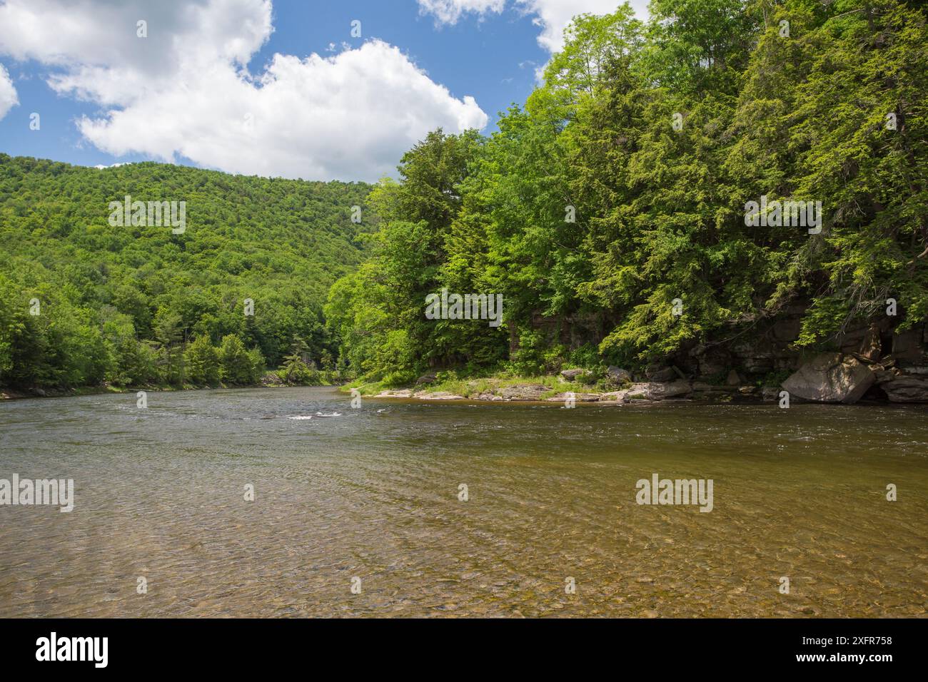 Long Pool on the Beaverkill river, a blue ribbon trout stream, New York ...