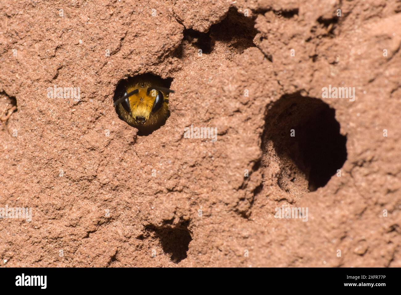 Female inside hi-res stock photography and images - Alamy