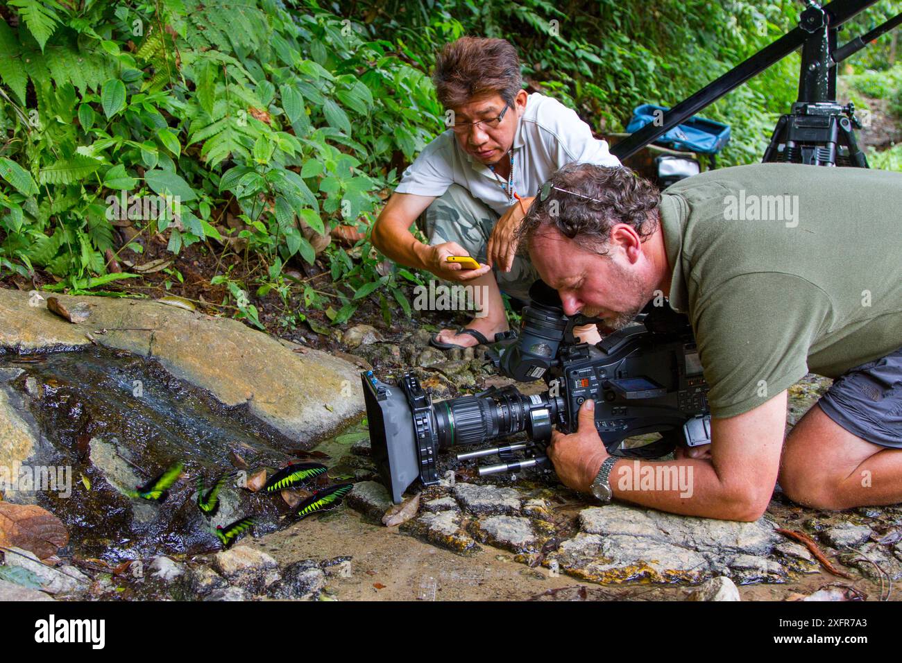 Filming a Raja Brookes Birdwing butterfly (Trogonoptera brookiana ...