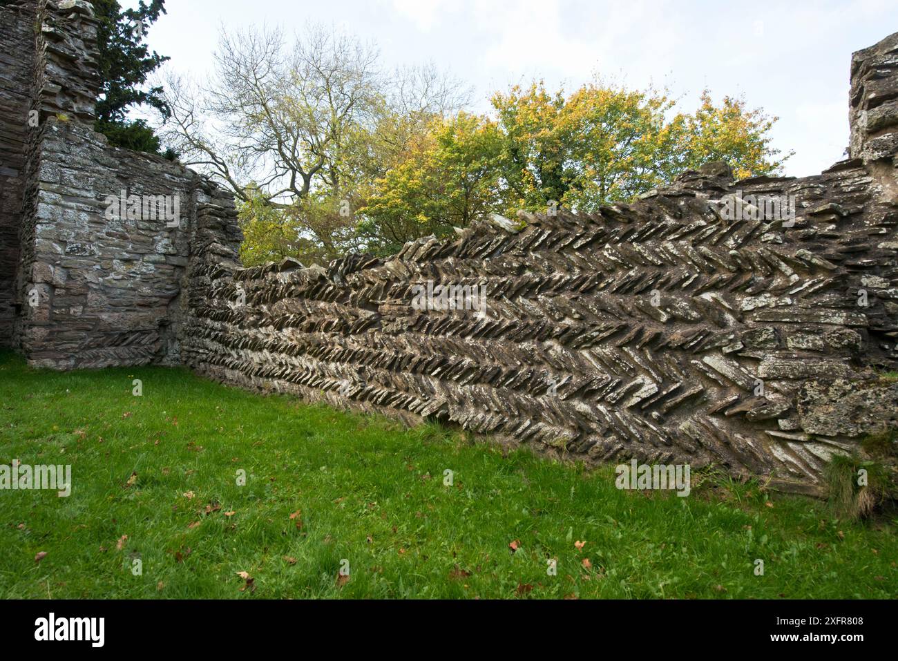 Saxon herringbone pattern stone wall at Old Edvin Loach Church, 11th ...
