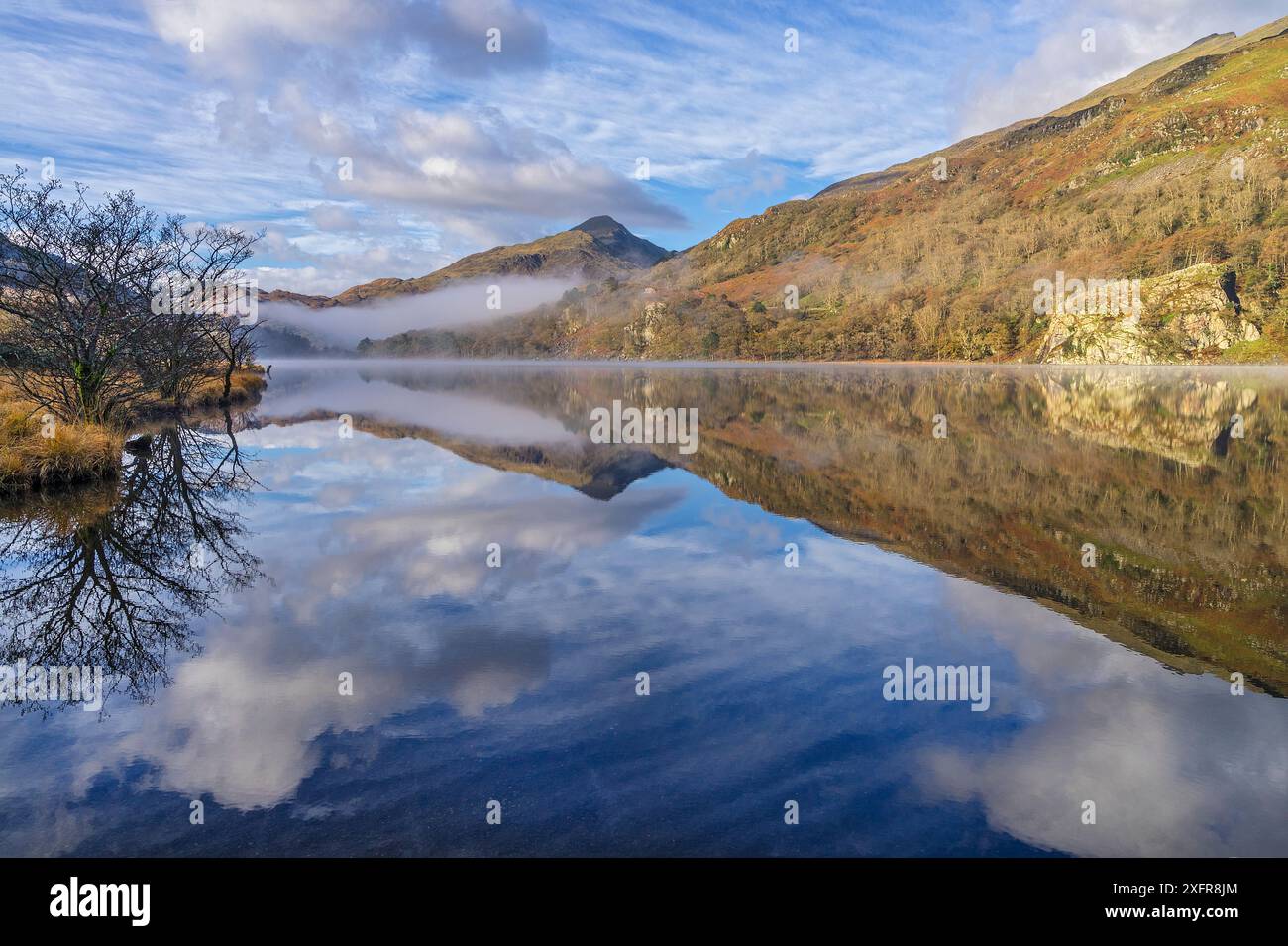 Reflections in Llyn Gwynant on a misty morning, Glaslyn valley, with Yr Aran mountain in the ...