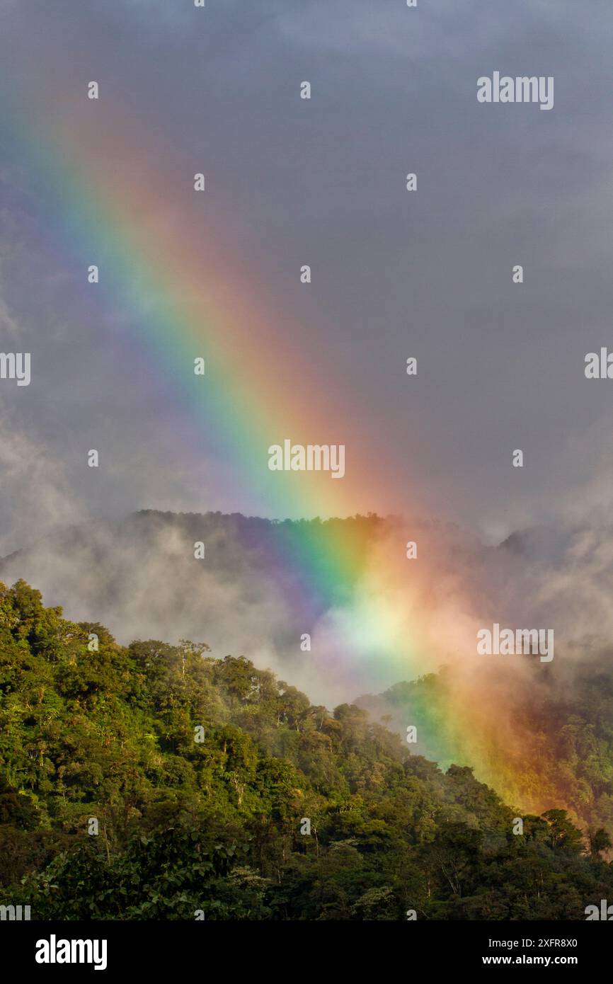 Cosanga ecuador hi-res stock photography and images - Alamy