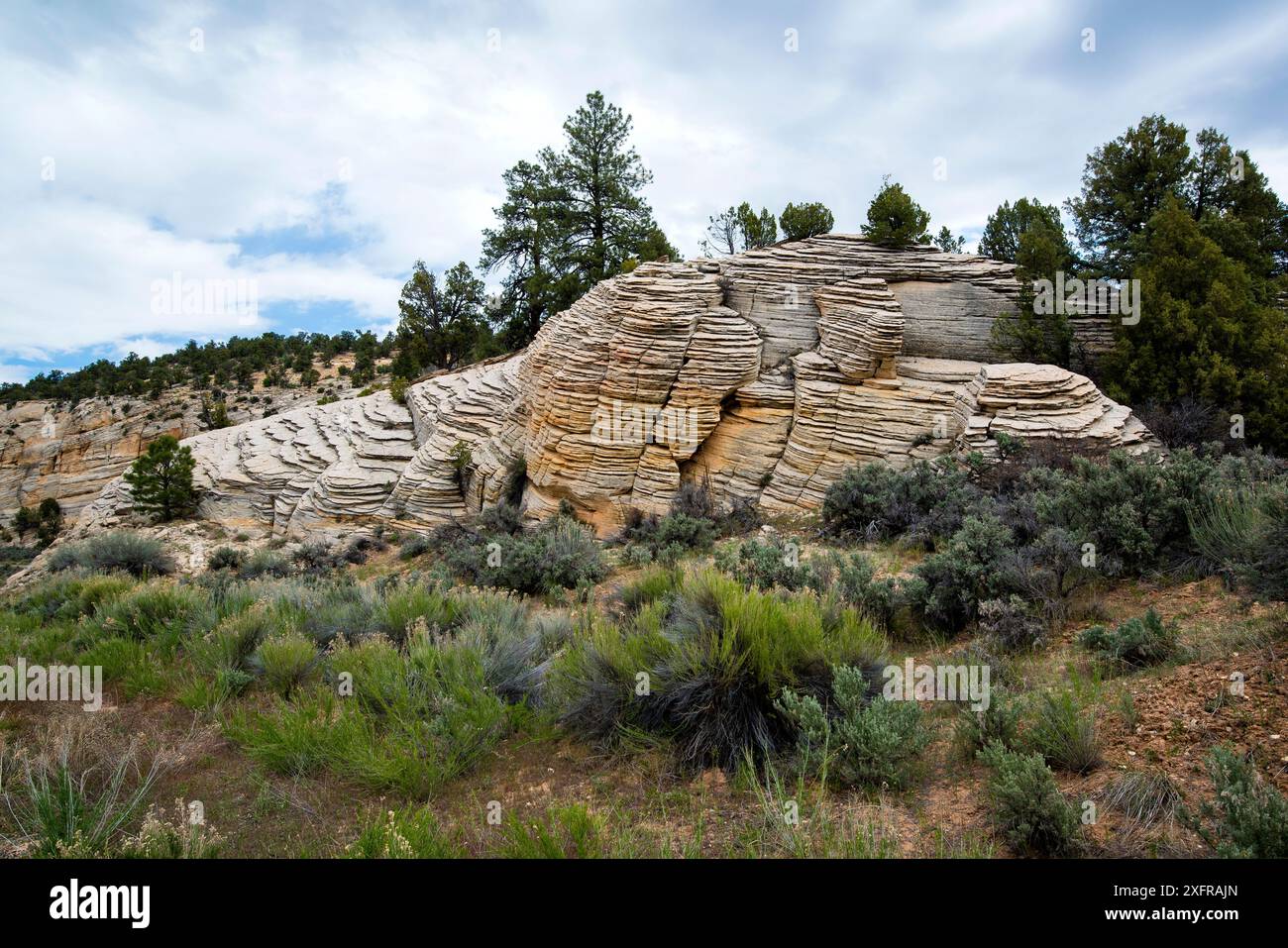Johnson Canyon, Johnson Canyon Road, Grand Staircase-Escalante National ...
