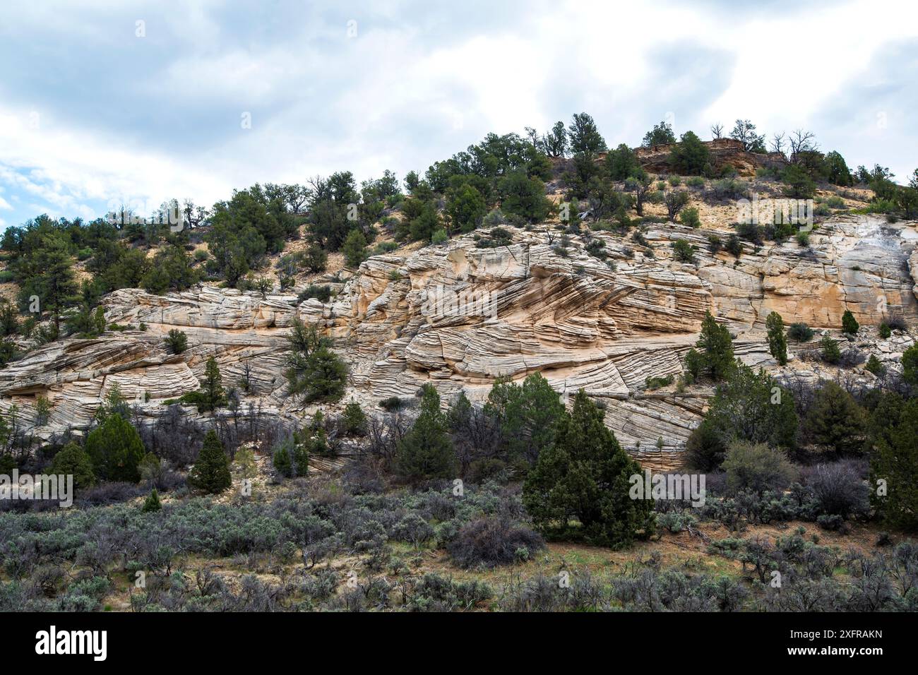 Johnson Canyon, Johnson Canyon Road, Grand Staircase-Escalante National ...