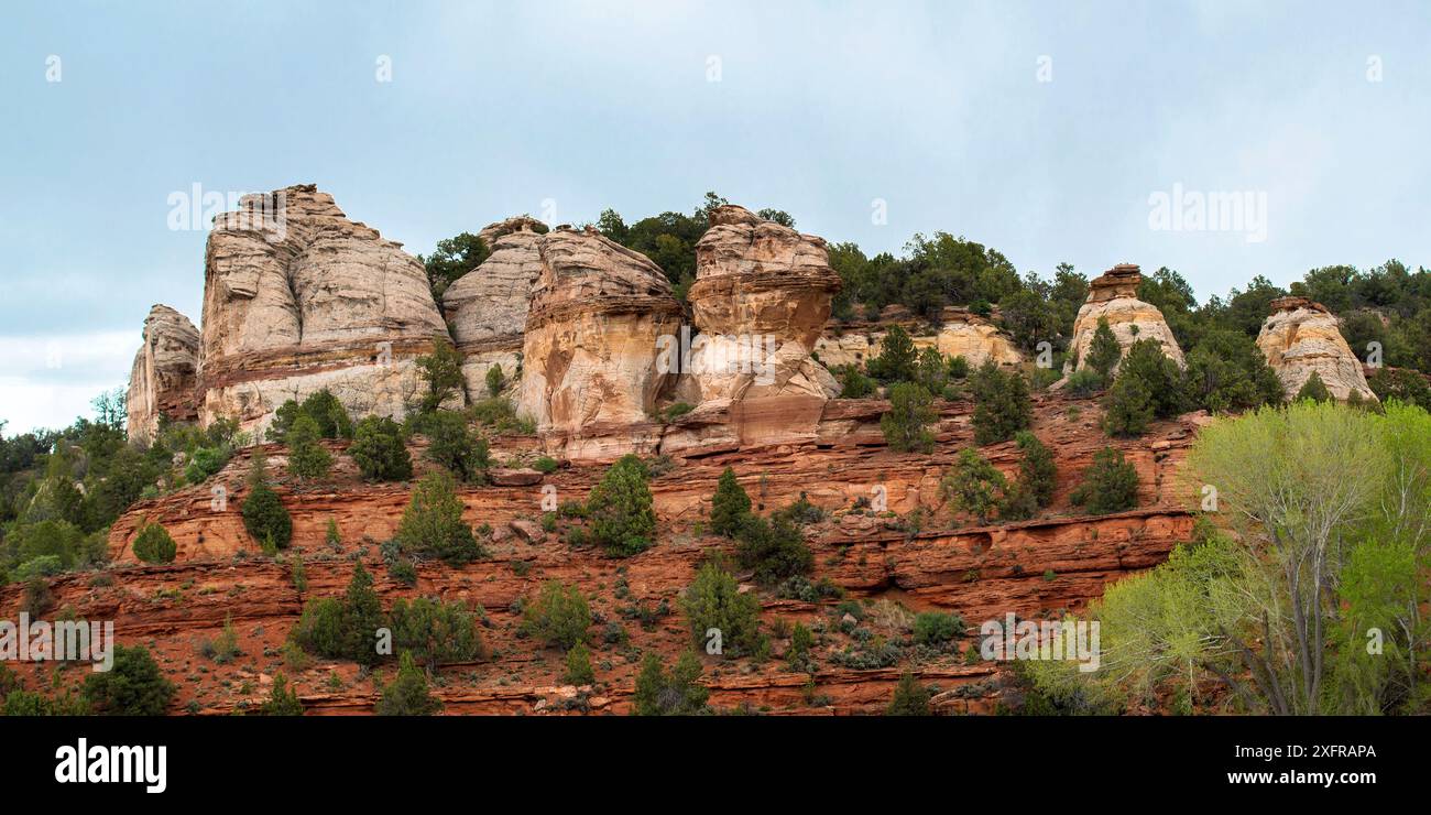 Johnson Canyon, Johnson Canyon Road, Grand Staircase-Escalante National ...