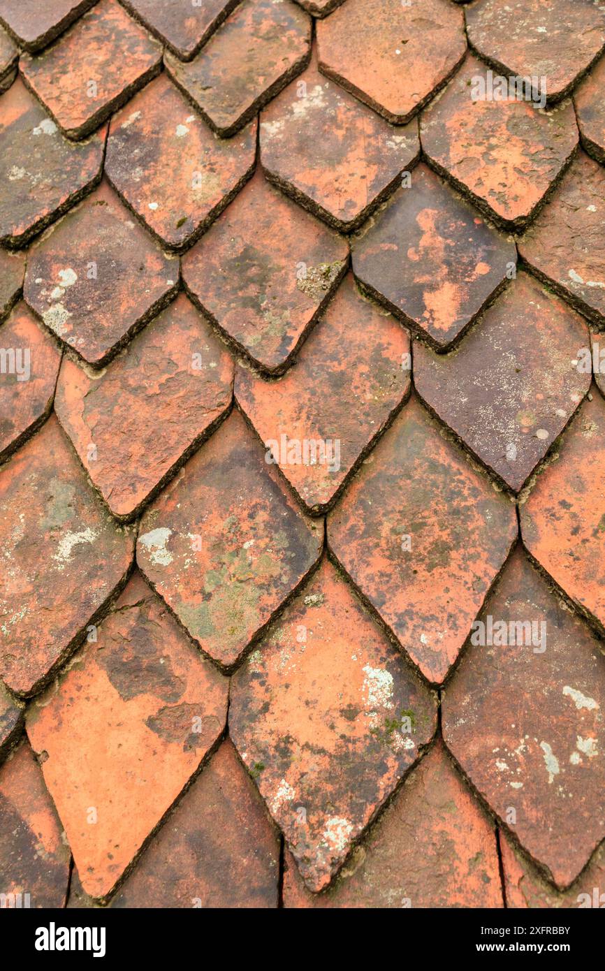 Europe, Romania. Brasov. Terra cotta tile, Rooftops Stock Photo - Alamy