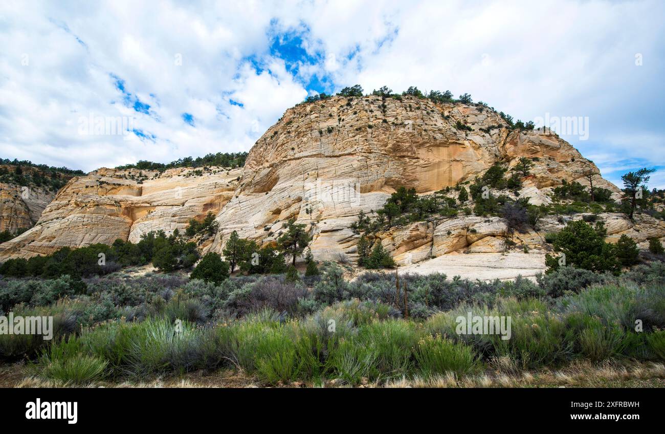 Majestic White Cliffs, Grand Staircase-Escalante National Monument ...