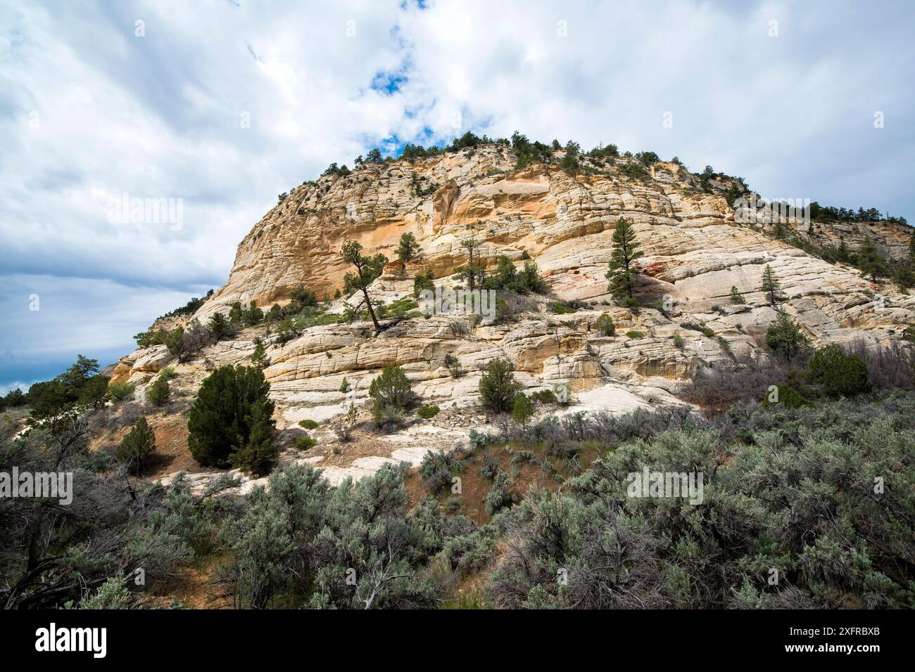 Majestic White Cliffs, Grand Staircase-Escalante National Monument ...