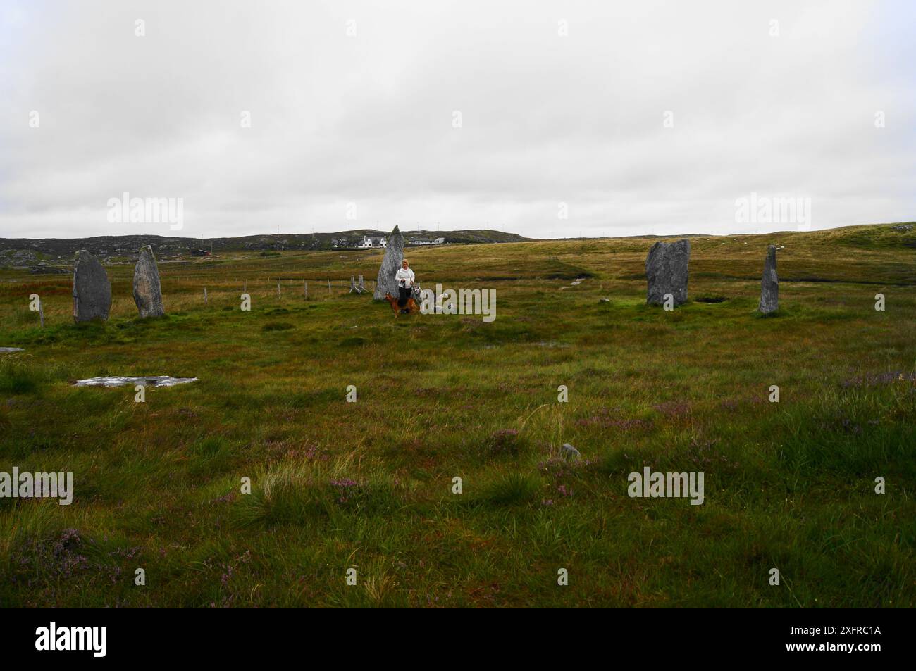 Callanish III Standing Stones on the west coast of Lewis in the Outer ...