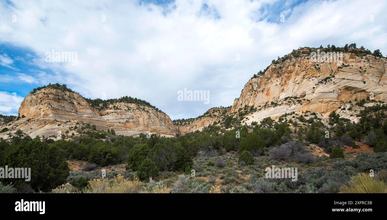 Majestic White Cliffs, Grand Staircase-Escalante National Monument ...
