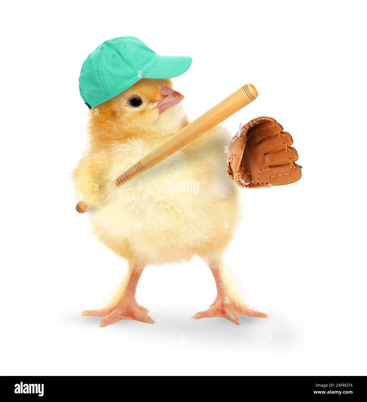 Cute small chick with bright cap, wooden bat and baseball glove ...