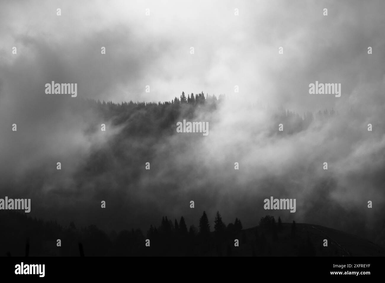 Europe, Romania. Bukovina, Moldovita territorial view Stock Photo - Alamy