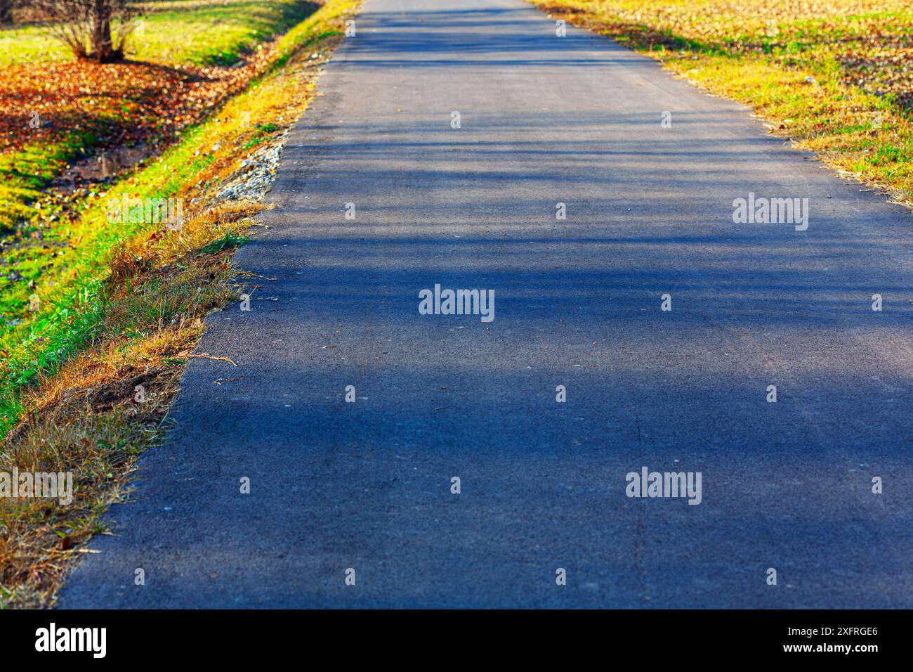 Asphalt road with a grassy area on the side. Scenic long empty road ...