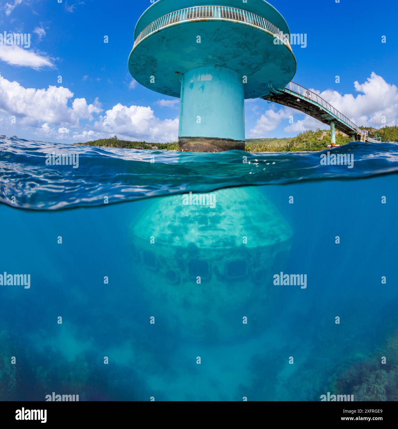 An above and below view of the hard coral reef around the Fisheye ...