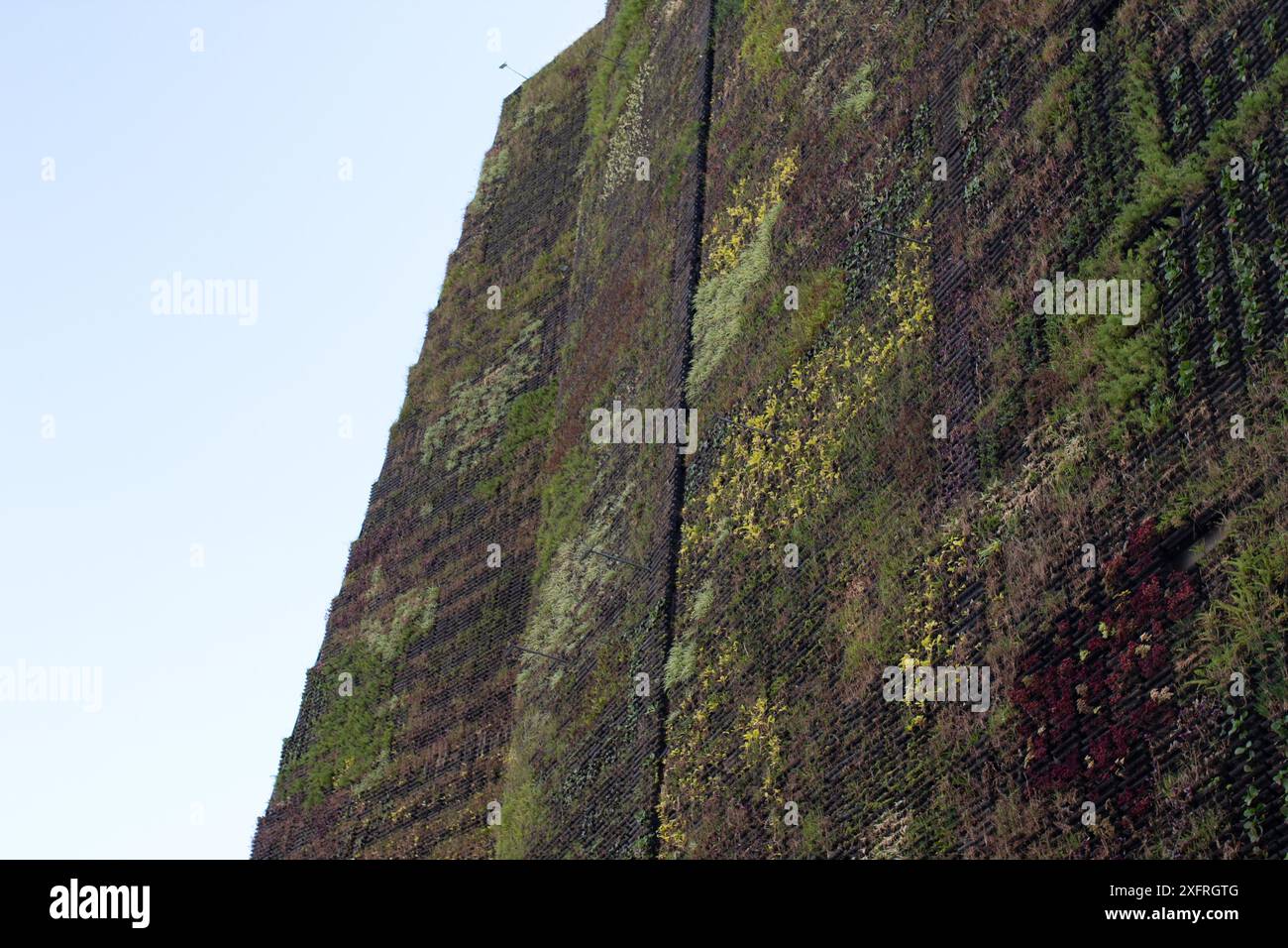 Medellin, Colombia, is transforming its urban landscape by implementing ...
