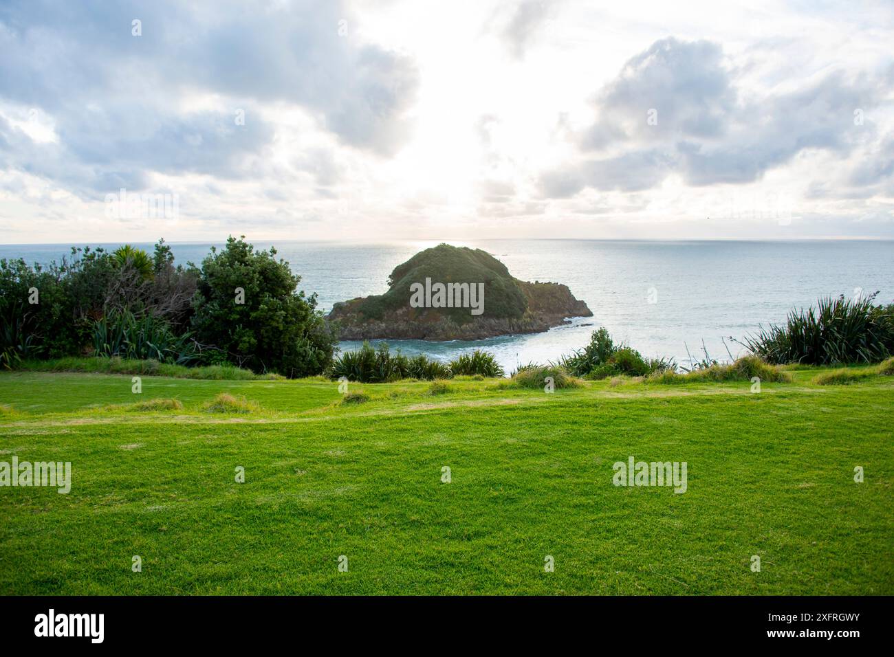Snapper rock hi-res stock photography and images - Alamy