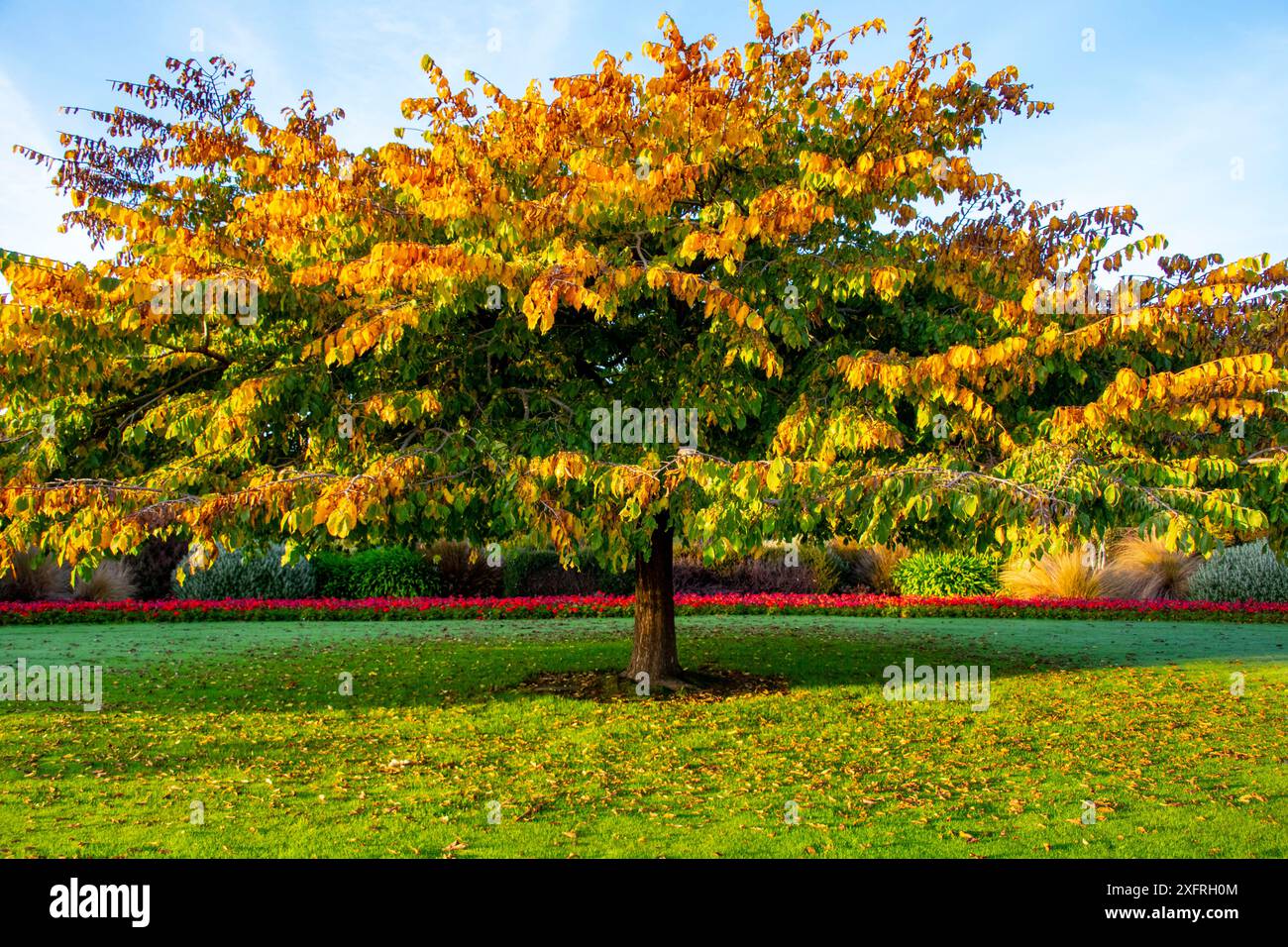 Invercargill new zealand and city hi-res stock photography and images ...