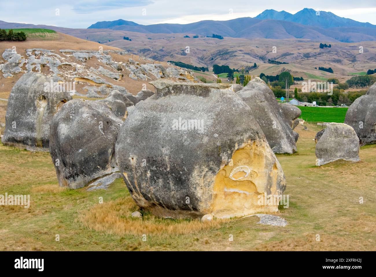Elephant Rocks - New Zealand Stock Photo - Alamy