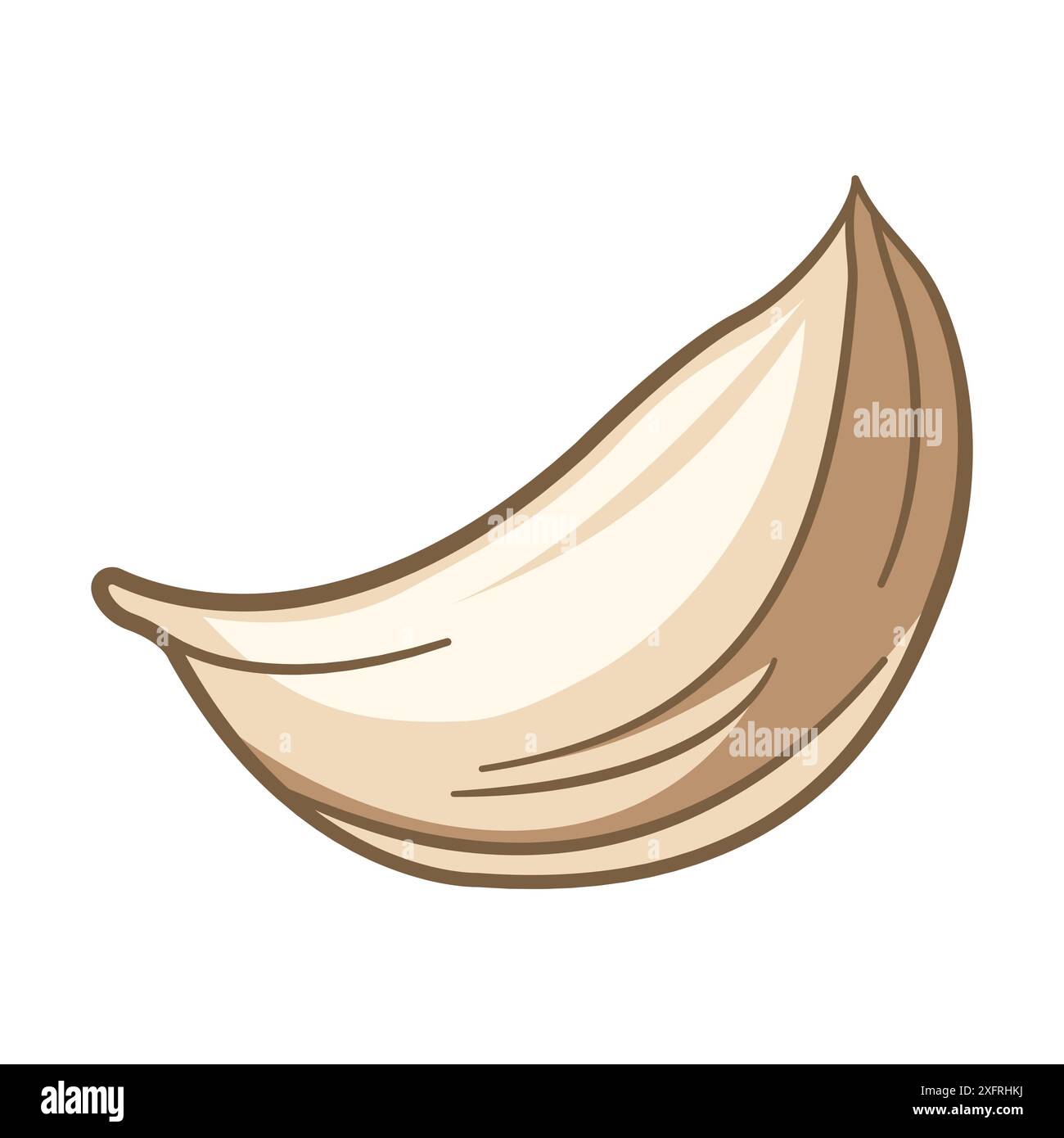 A piece of garlic Stock Vector Images - Alamy