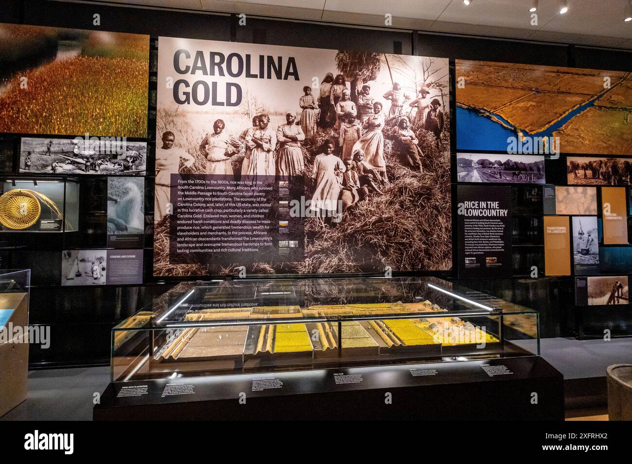 Exhibit on Lowcountry rice plantations at the new International African ...