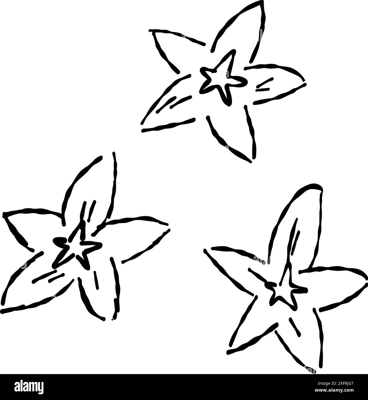 Line drawing illustration of the bellflower Stock Vector Image & Art ...